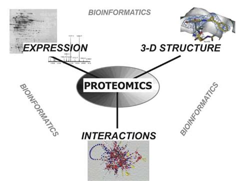 Current Genetics Short Introduction To Proteomics