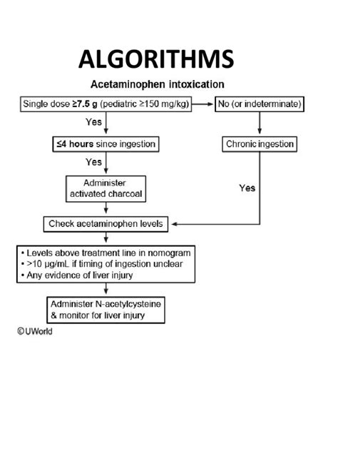 Algorithms Pdf Preterm Birth Mammography
