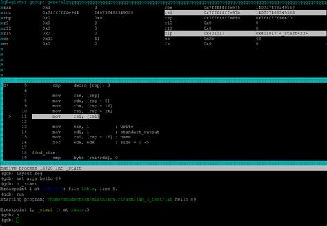 X86 64 How Can I Properly Pass Data Through Args In X86 64 Assembly