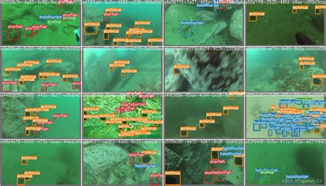 探索水下低光照图像检测性能，基于yolov7【tinylx】不同系列参数模型开发构建海底生物检测识别分析系统tiny系列大模型 Csdn博客