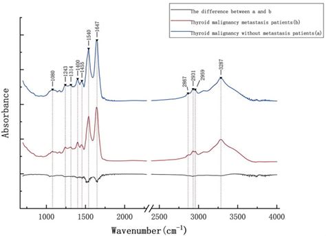 Multimodal Separation And Cross Fusion Network Based On Raman Spectroscopy And Ftir Spectroscopy