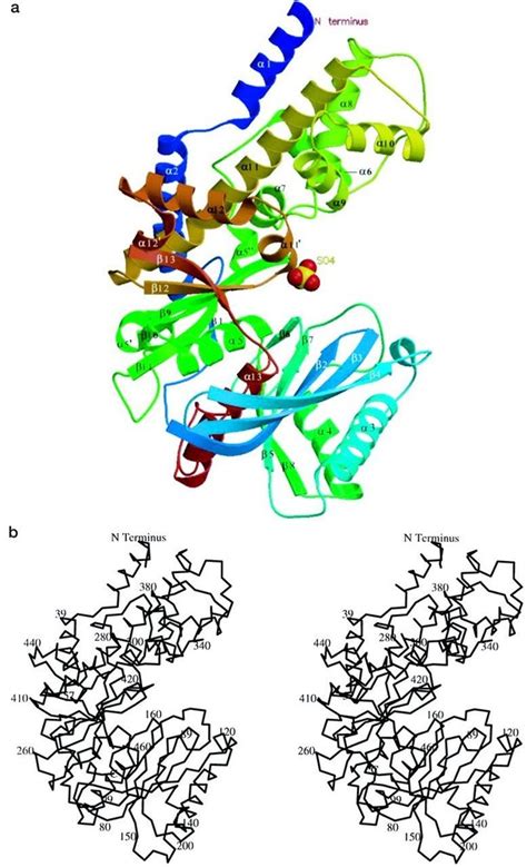 Hexokinase 5000u At Rs 12000pack New Items In Malappuram Id
