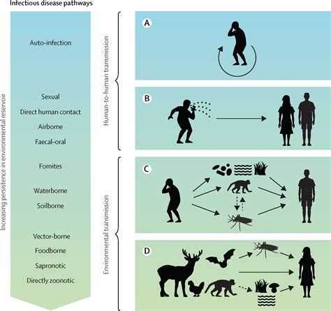 Ecological And Socioeconomic Factors Associated With The Human Burden Of Environmentally