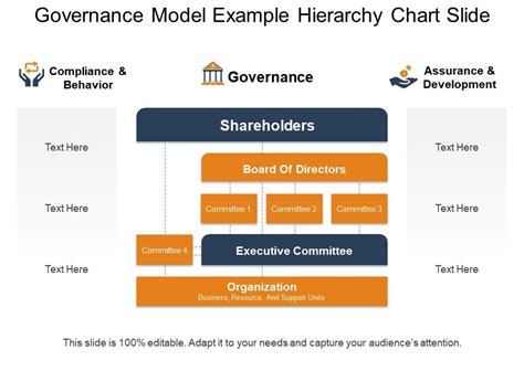 Governance Model Example Hierarchy Chart Slide Ppt Examples PowerPoint Presentation Pictures
