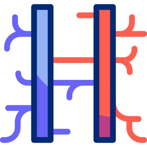 Veins Basic Accent Lineal Color Icon