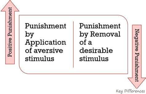 Difference Between Discipline And Punishment With Examples And