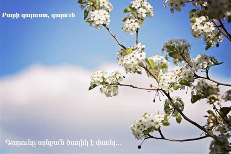 Techno Educational Academy Is Techno Educational Academy