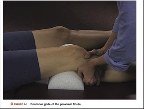 Joint Mobilization Final Practical Flashcards Quizlet