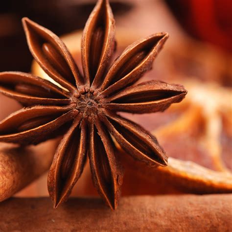 Organic Star Anise Seeds Shortcake Farms