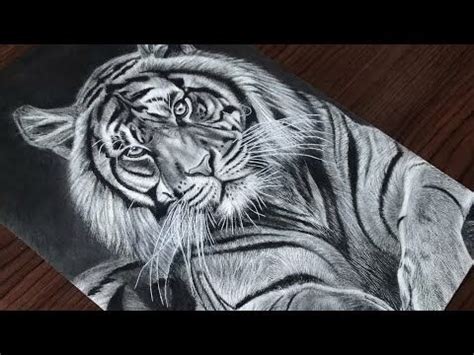 How To Draw A Realistic Tiger With A Simple Technique Materials Step By Step Real Time Video