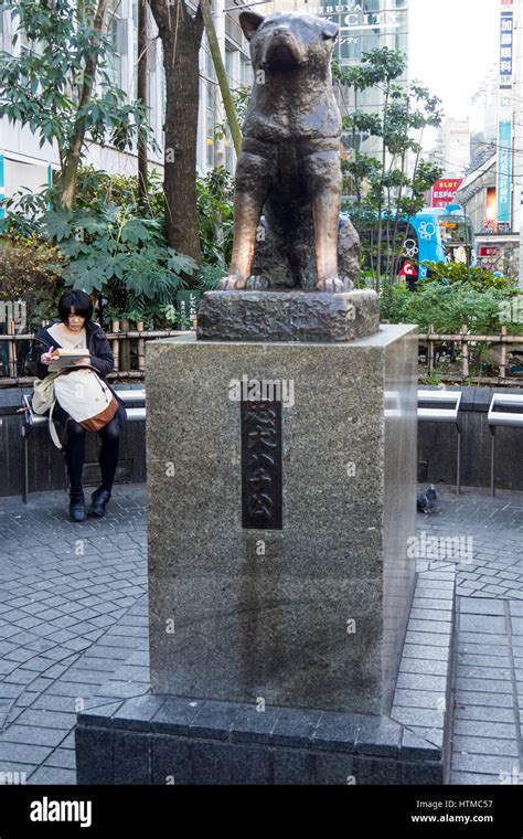 Bronze Hachiko Memorial Statue At Hachiko Square Shibuya Train Station