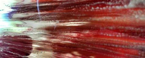 24 Days Of Rust Hyper