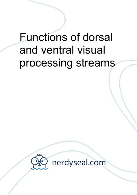 Functions Of Dorsal And Ventral Visual Processing Streams 3354 Words Nerdyseal