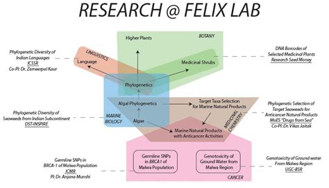 An Example Of Interdisciplinary Research Flow Chart Spanning