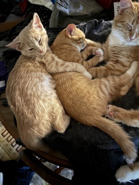 Reaching Out To The Imgur Community Album On Imgur