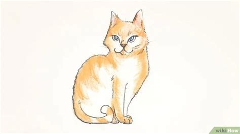 How To Draw A Cat Step By Step Tutorials Drawings Cats Draw