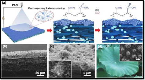 A Schematic Illustrating For The Preparation Of Lotus Leaf Inspired Download Scientific Diagram
