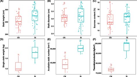 Sugarcane Agronomical Parameters Response To Control Ck And Silicon Download Scientific