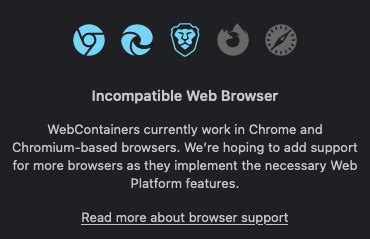 Terminal Issue 507 Stackblitz Webcontainer Core GitHub
