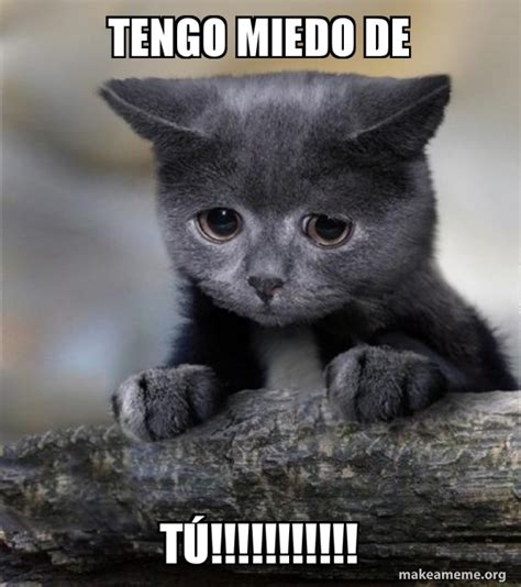 Tengo Miedo De TÃš Confession Cat Meme Generator