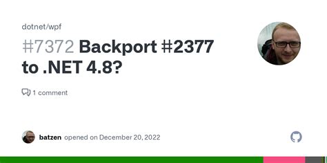 Backport 2377 To Net 48 · Issue 7372 · Dotnetwpf · Github
