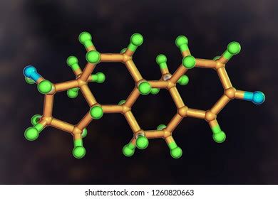 29 Secondary Sex Characteristics Images Stock Photos Vectors Shutterstock