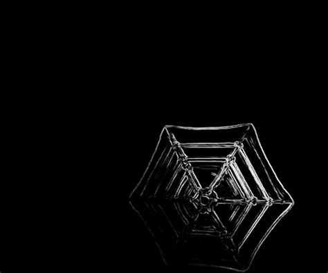 Tumblr Black Background 