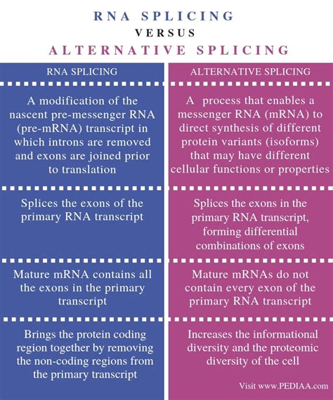 What Is The Difference Between Rna Splicing And Alternative Splicing Pediaa Com