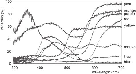 Spectral Reflection Properties Of The Different Flower Dummies Which