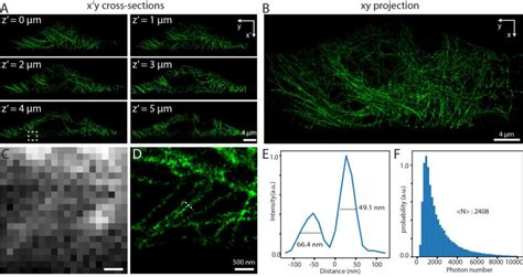 Super Resolution Stochastic Optical Reconstruction Microscopy Storm Download Scientific