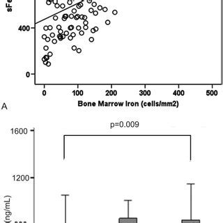 Examples Of Biopsies With Different Degrees Of Bone Marrow Iron