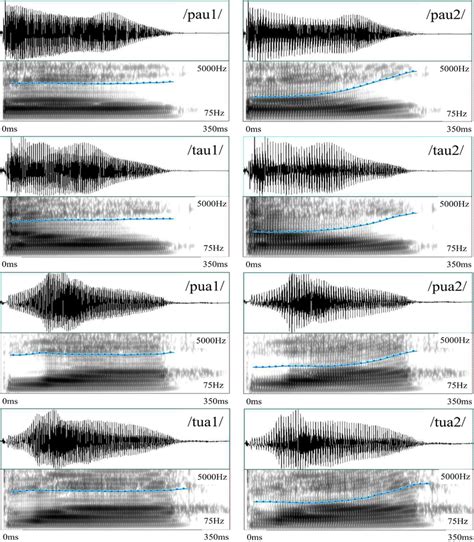 Sound Waveforms And Spectrograms Of The Eight Mandarin Syllables In