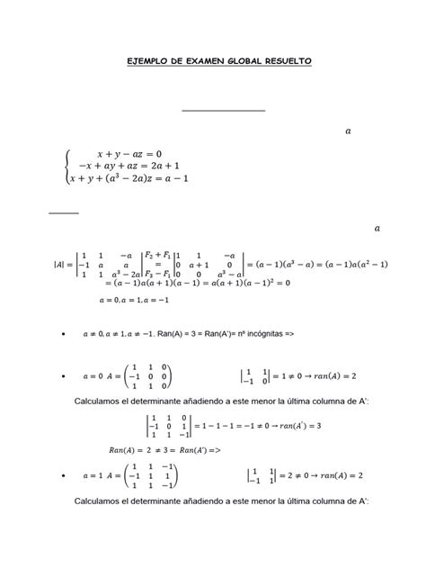 Ejemplo De Examen Global 1 Resuelto Pdf Integral Sistema De