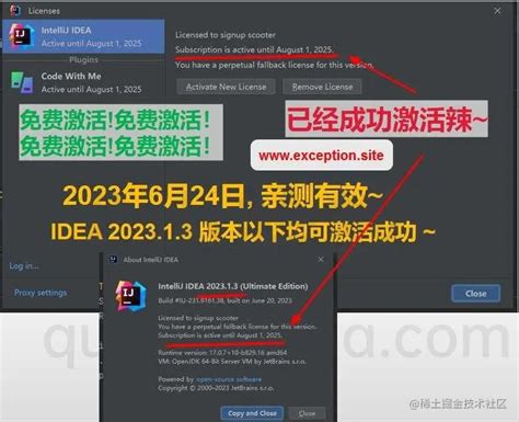 idea破解以及导致的gradle无法加载报错内容could not initialize class org grad 掘金