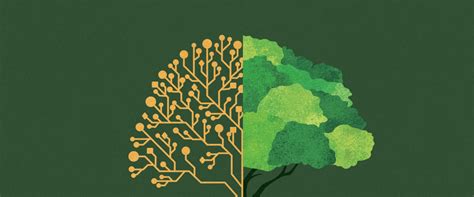The Economic Benefits Of Sustainable Ai