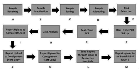 FIGURE Workflow Of Sample Processing From The Sample Receiving To Download Scientific Diagram