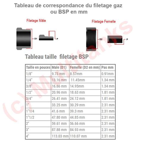 Multitanks Manchon Mâle Mâle Fileté Pehd Réf 4819a