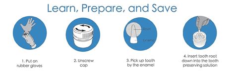 Save A Tooth Preserving Kit By Phoenix Lazarus Prevent Permanent