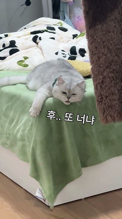 후 또 너냐 Youtube