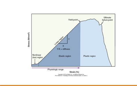 Flexibility Flashcards Quizlet