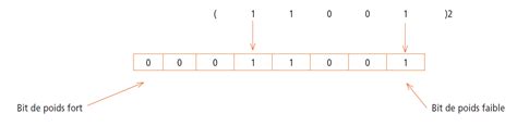 Systèmes De Numération Conversion Binaire Décimal Hexadécimal
