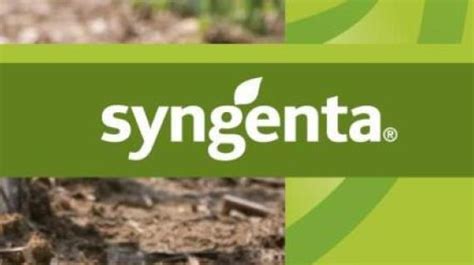 Lanzamientos Syngenta
