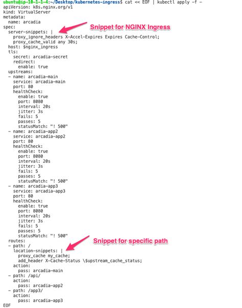 Nginx Kubernetes Ingress Controller Examples — Nginx Ingress