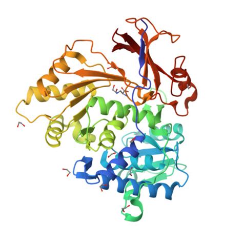 Rcsb Pdb 9n1u High Resolution Crystal Structure Of 2 3 Diamino Propanoic Acid Bound