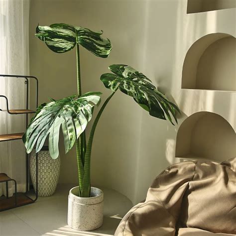 Cây Monstera Giả đột Biến Lá Lớn Nhà Xinh Mỗi Ngày