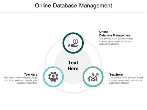 Online Database Management Ppt Powerpoint Presentation Styles Sample