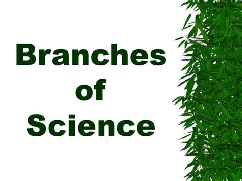 Branches Of Science Pptx