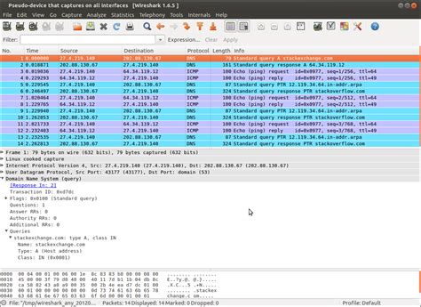 Dns When Pinging The Ping Responses Come From Random Domain Names But The Same IP Address