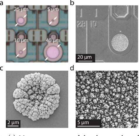 Figure 2 From Fully Integrated Cmos Microsystem For Electrochemical