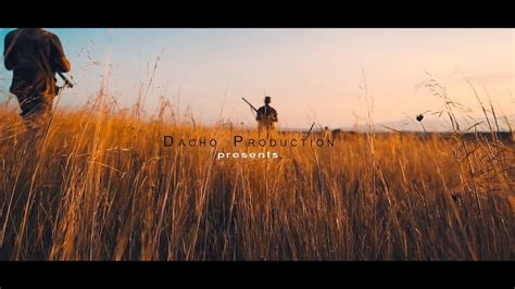 მწყერზე ნადირობის სეზონის გახსნა Youtube